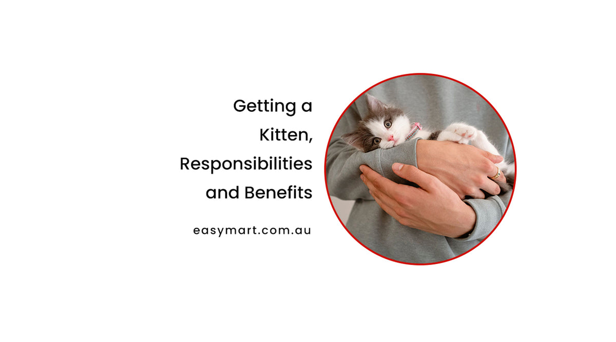 Must have responsibility to keep your feline friend healthy & happy