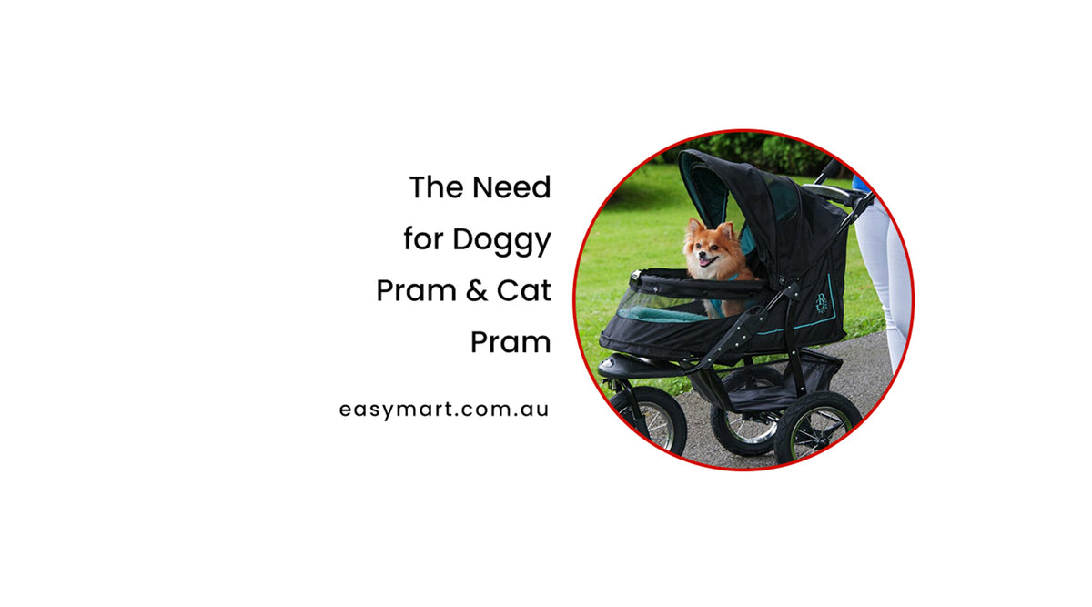 Top 10 Reasons for a Doggy or Cat Pram Investment